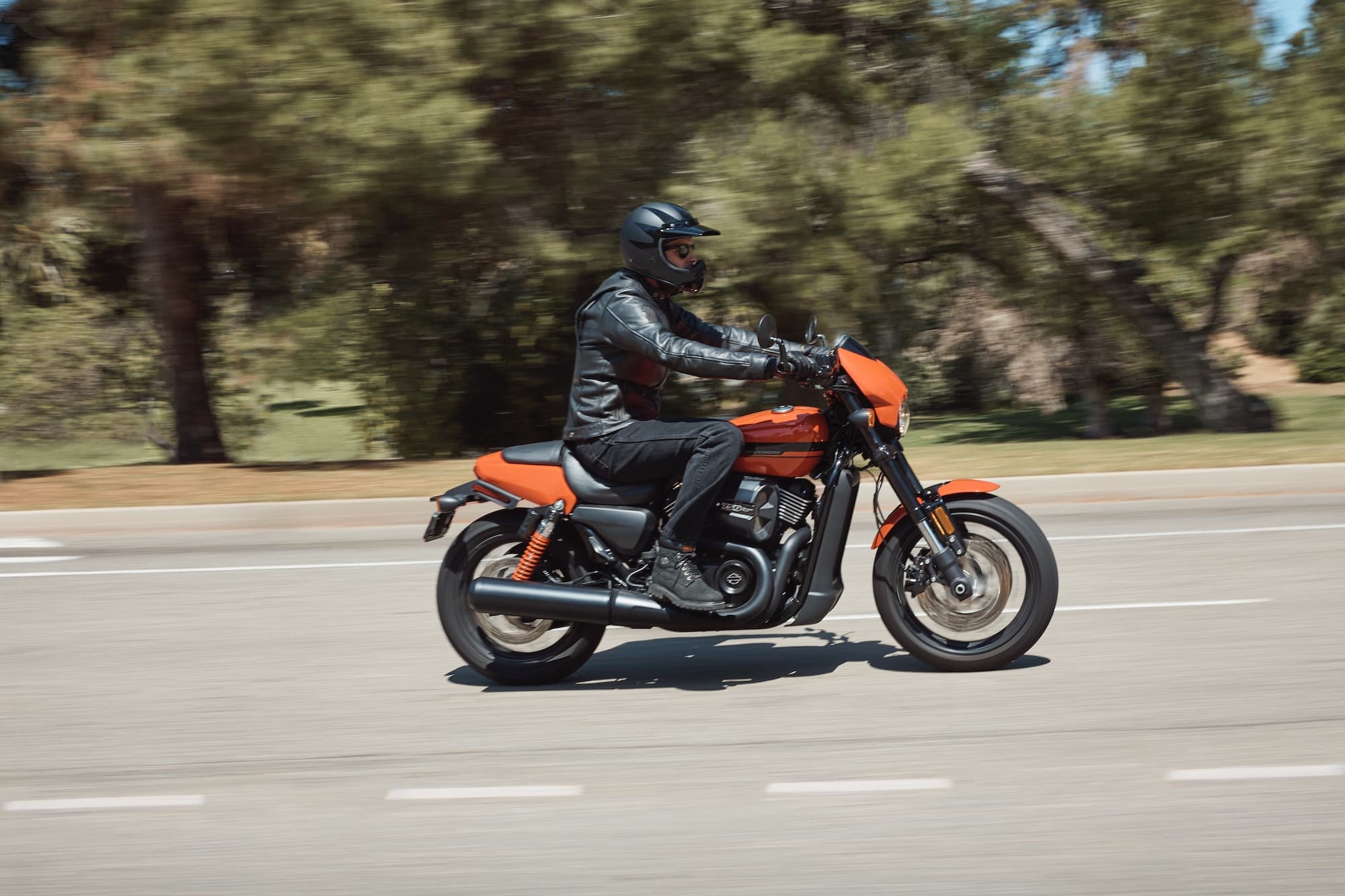 Harley-Davidson Street Rod XG750A (2017-2020) Maintenance